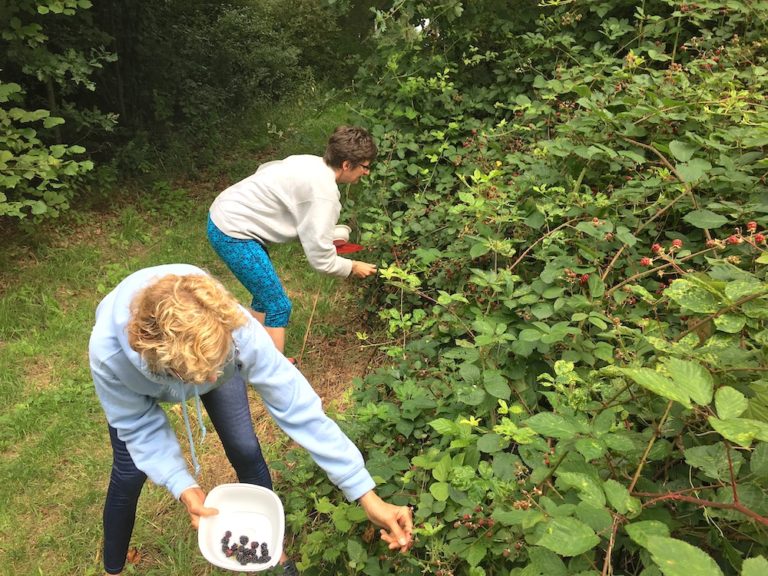 Expats in the Netherlands: The Leenderbos is a 4-seasons city escape