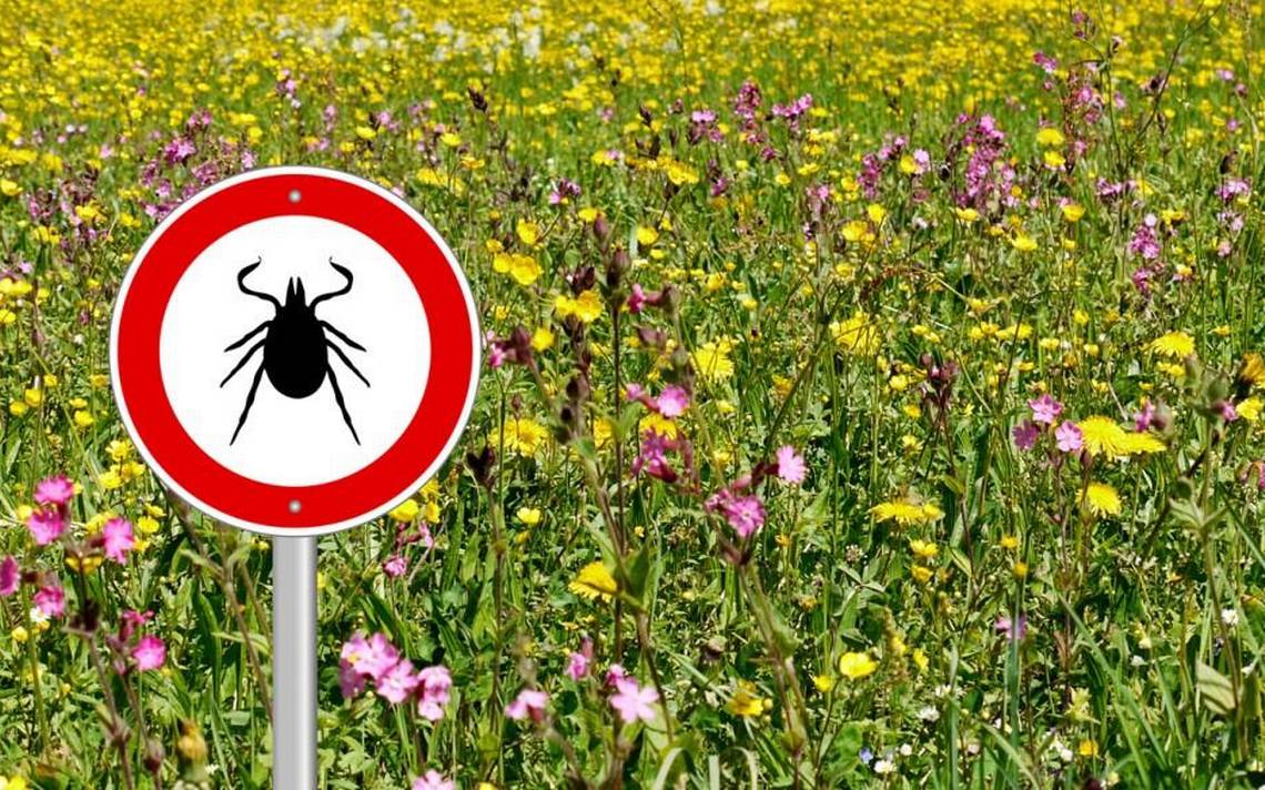 Dr. Kris: Austria is hiking heaven ... and a tick-borne encephalitis ...