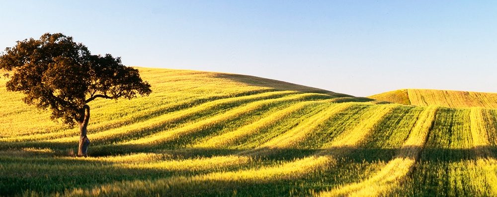 Portugal's countryside changed my mind ... me, a city person!